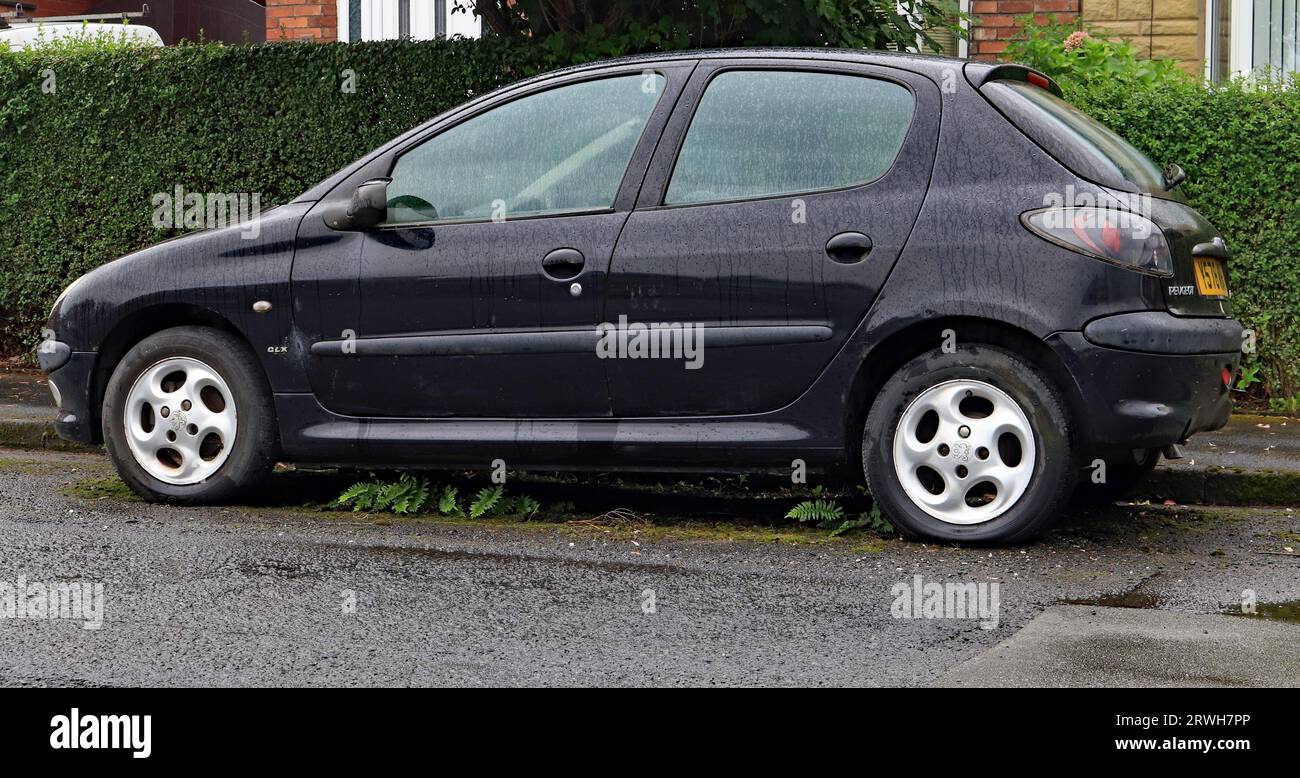 It’s been there for a while, A Y reg Peugeot protects the ferns from ...