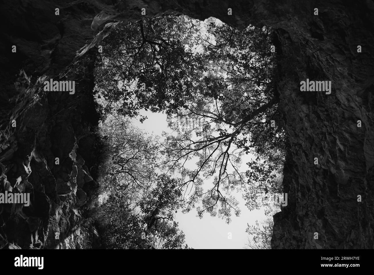 Framed by the tree Black and White Stock Photos & Images - Alamy