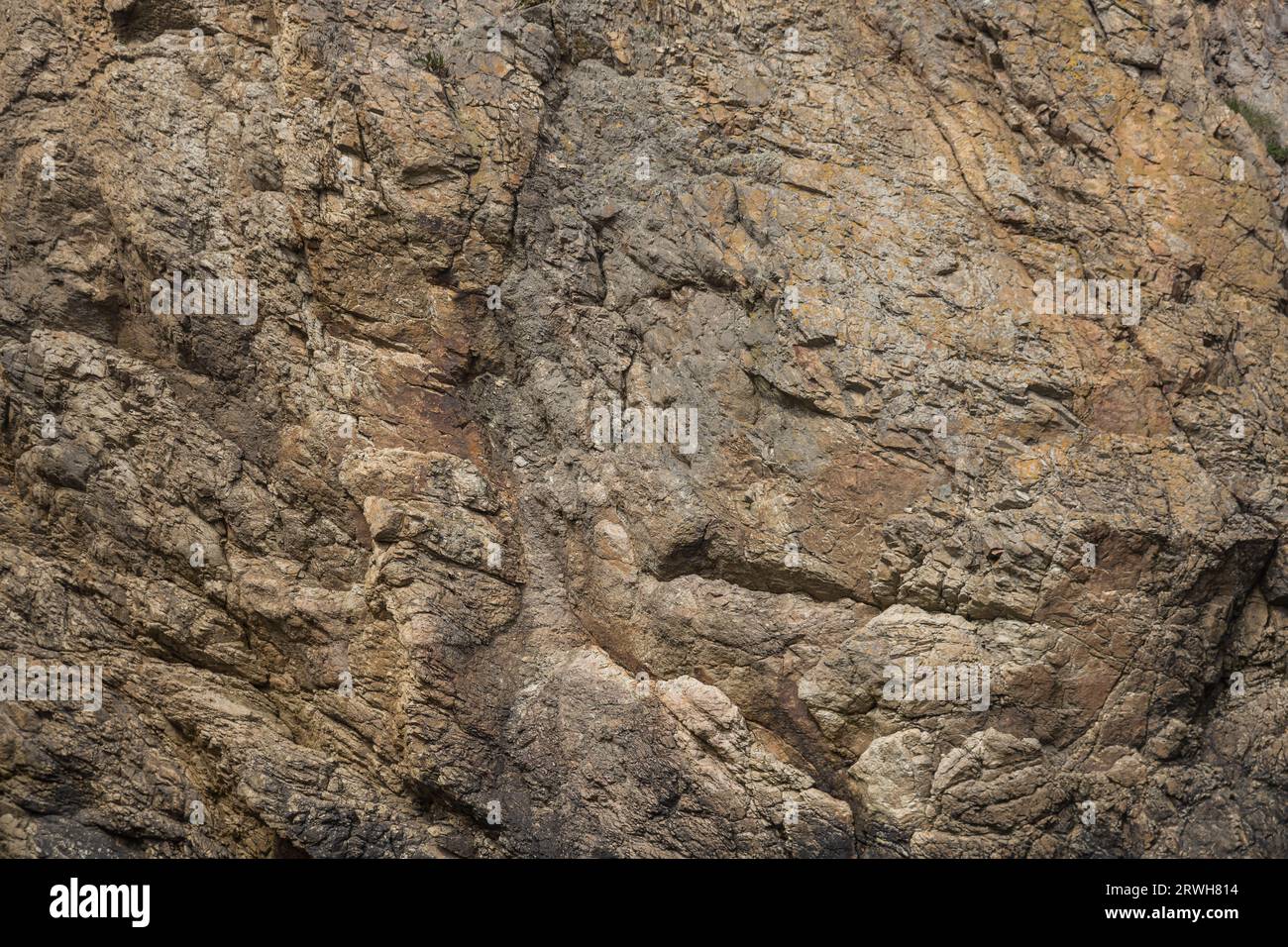 Rock surfaces in close-up photography, background for graphic designers ...