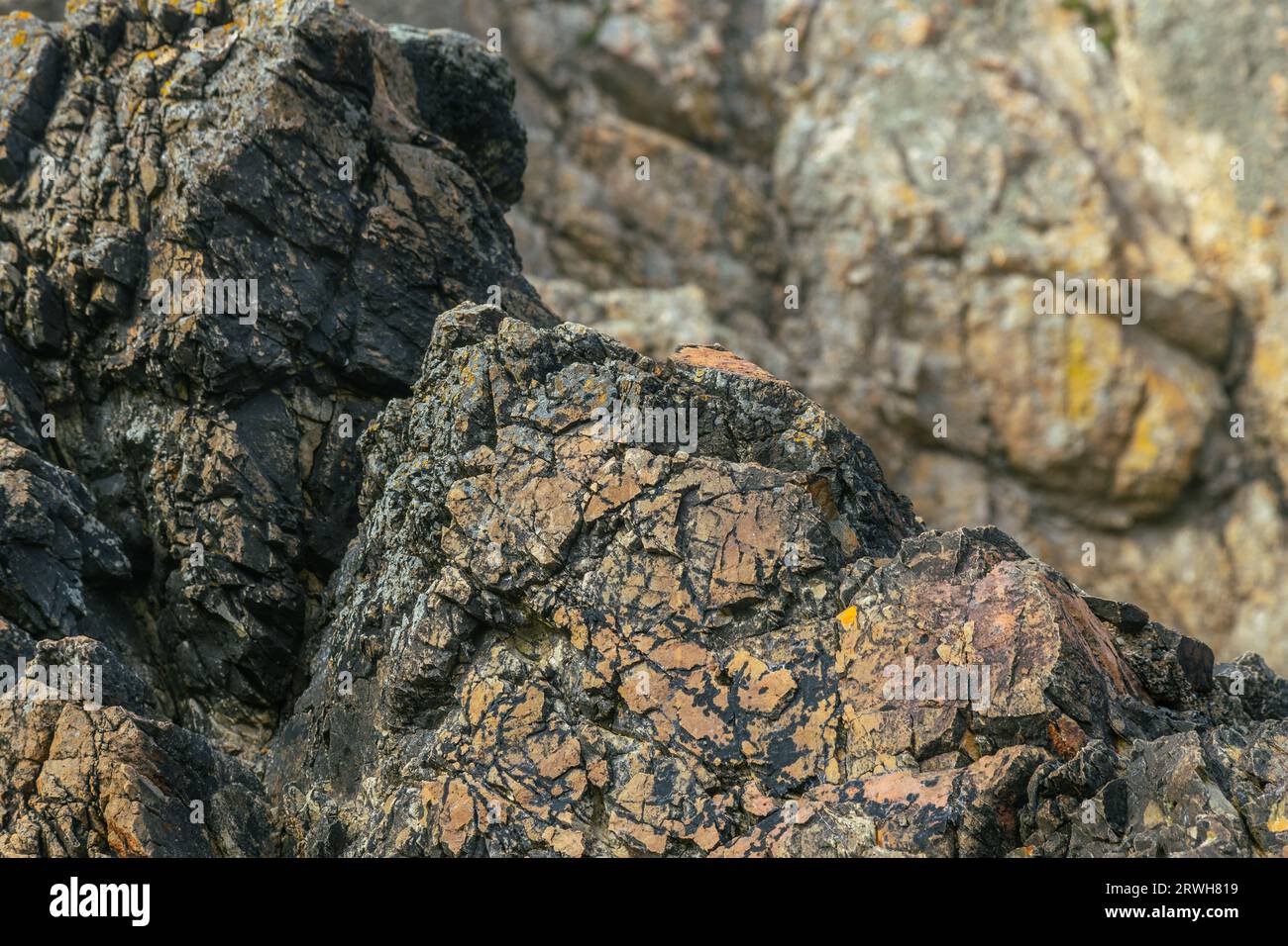 Rock surfaces in close-up photography, background for graphic designers ...