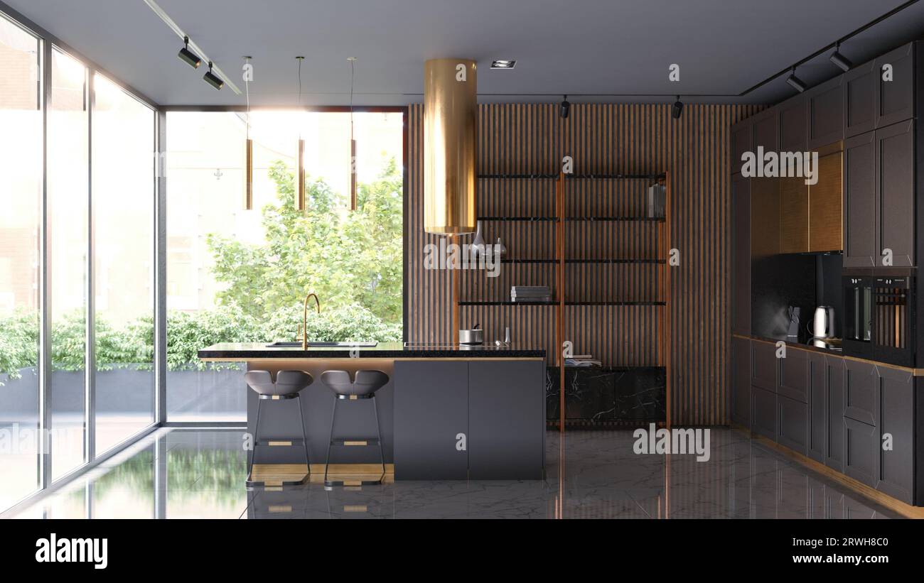 modern dark kitchen interior Stock Photo - Alamy