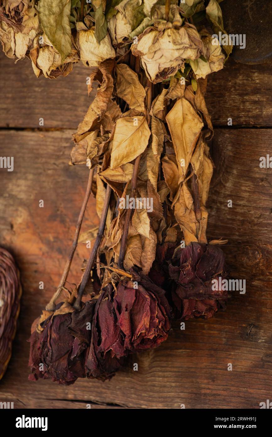 A dry bouquet of roses hangs on an old wooden wall, a dry rose Stock ...