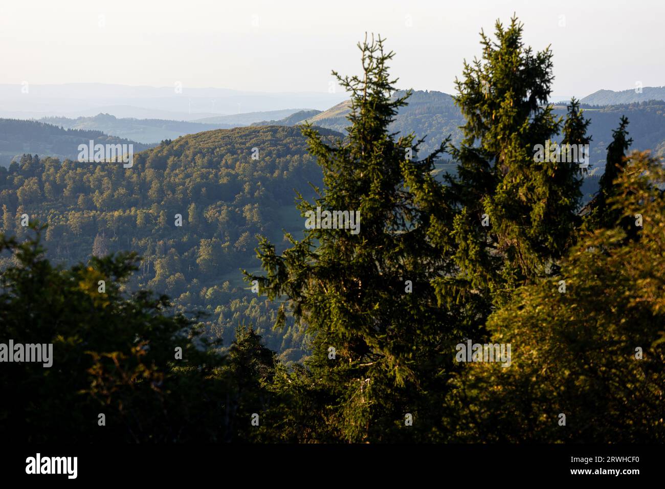 the nature of the röhn germany Stock Photo - Alamy