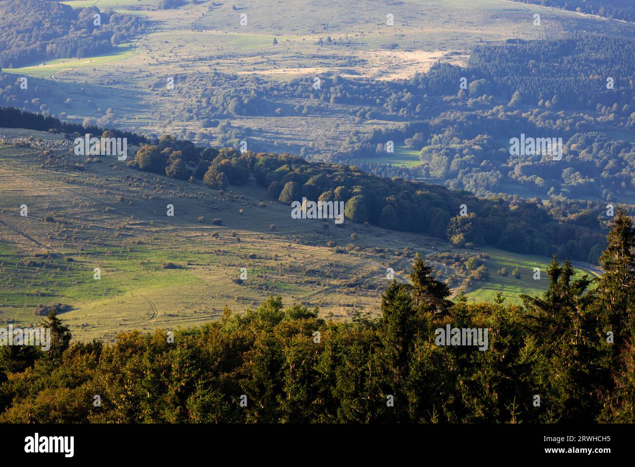 the nature of the röhn germany Stock Photo - Alamy