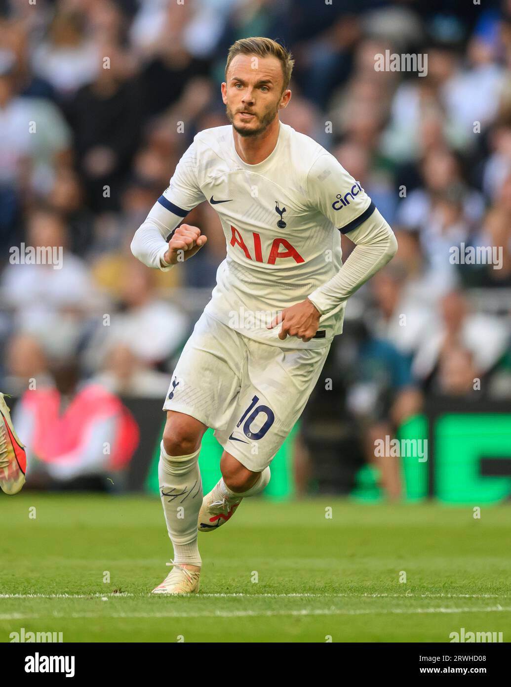 James maddison tottenham hi-res stock photography and images - Alamy