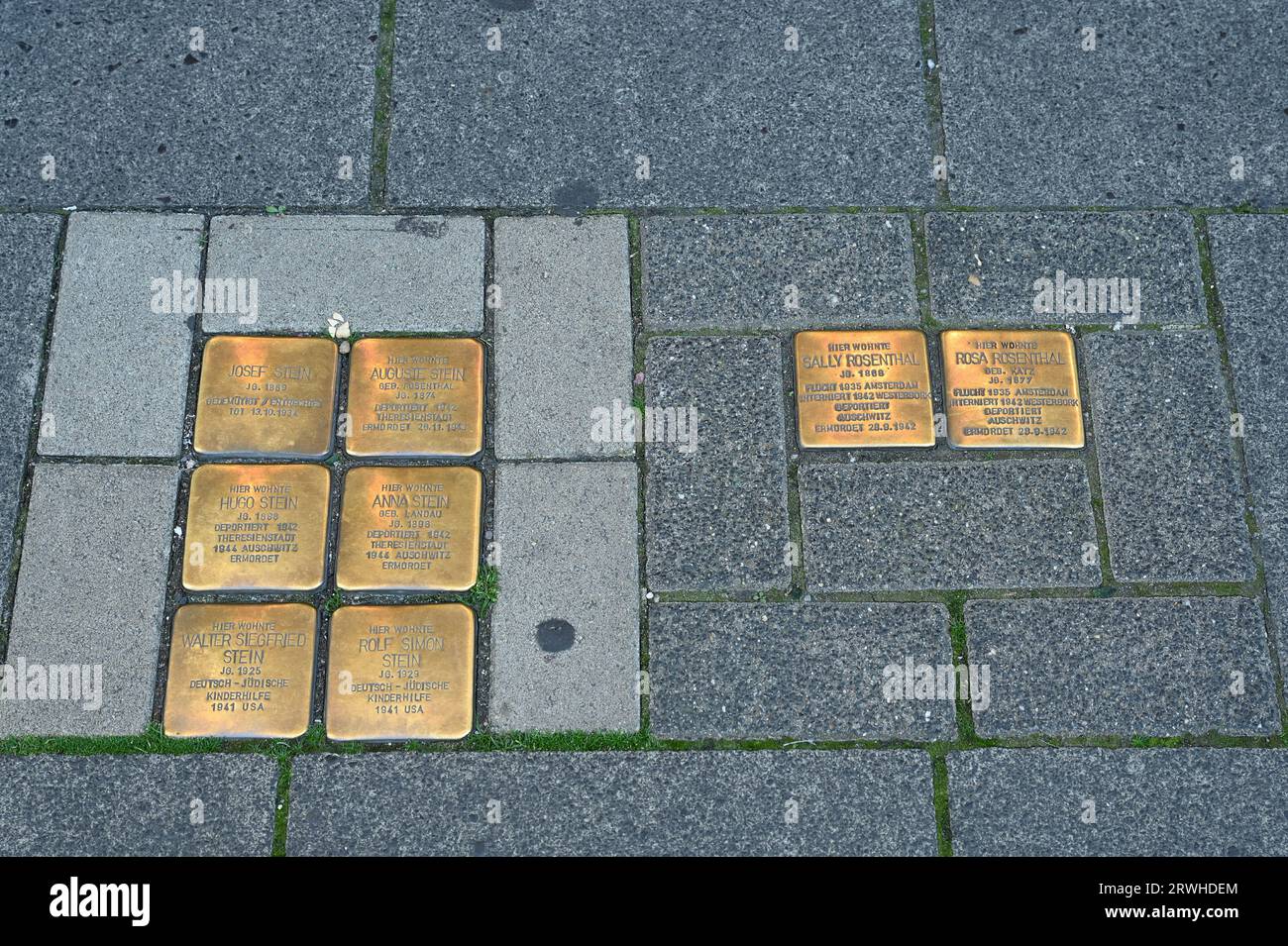 Cologne, Germany. 07th Sep, 2023. Stolpersteine, a project of the ...