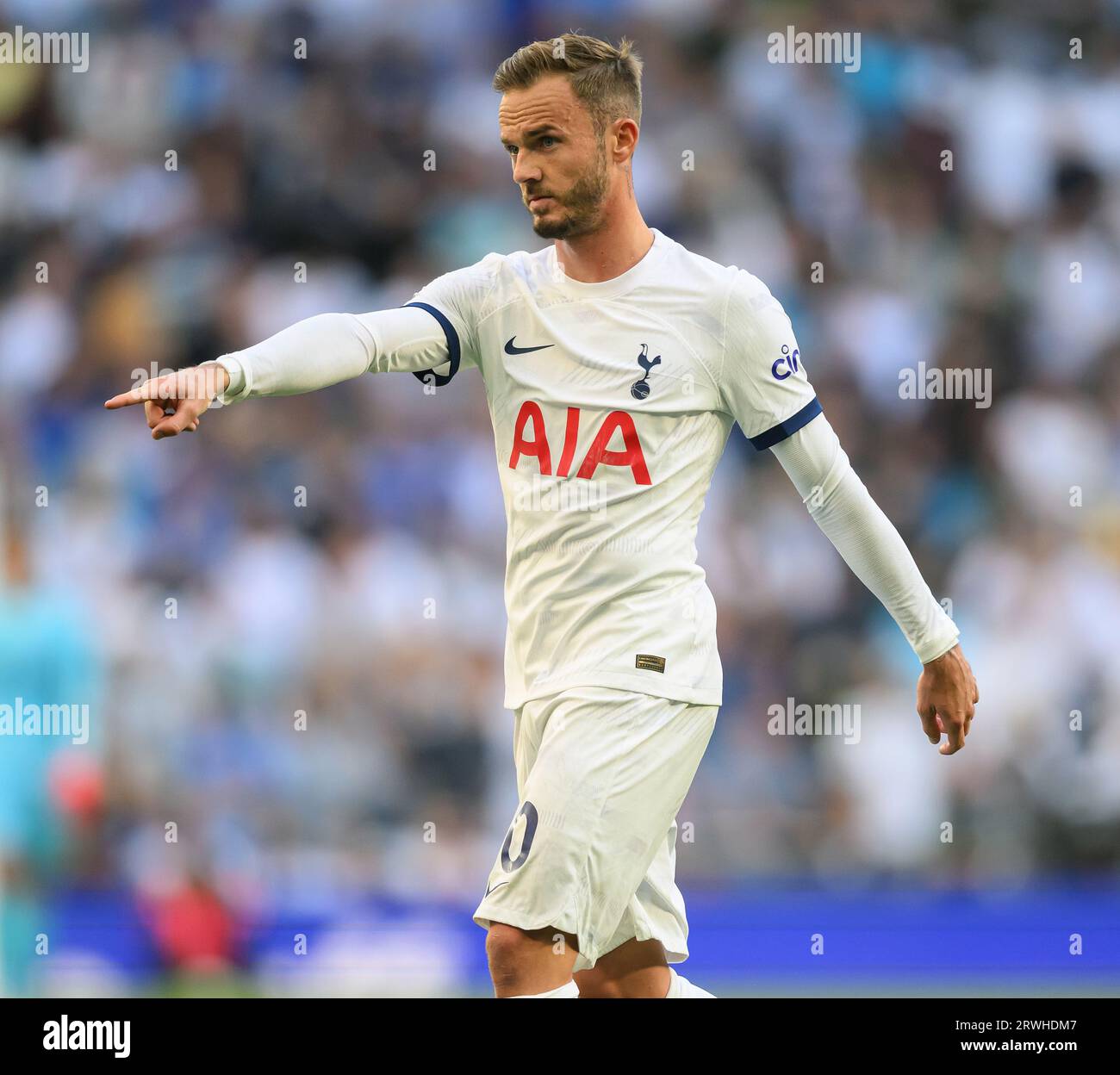 James maddison tottenham hotspur hi-res stock photography and images ...