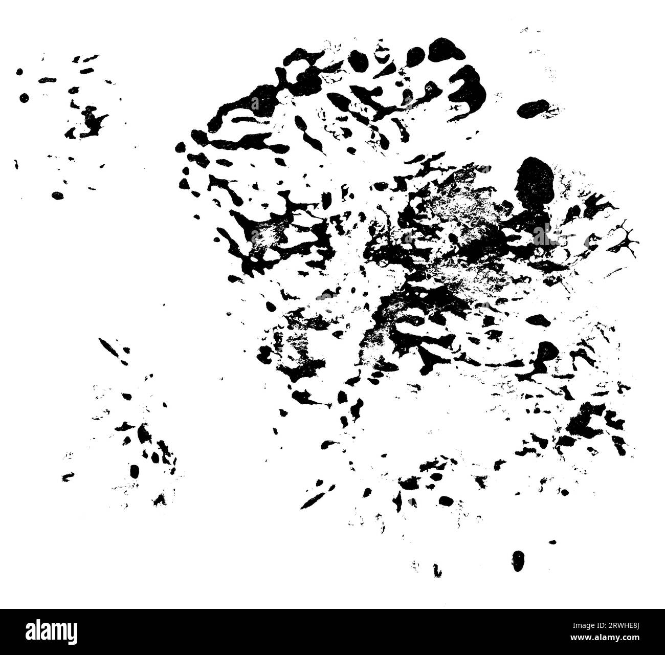 Black paint splashes on a white isolated background Stock Photo - Alamy