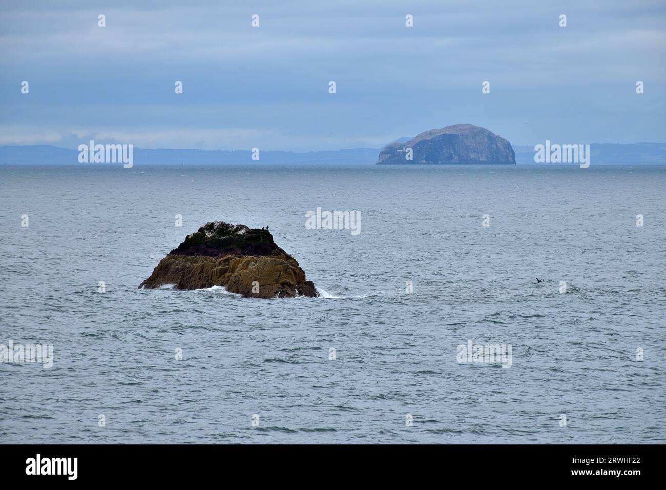 View dunbar castle harbour hi-res stock photography and images - Alamy