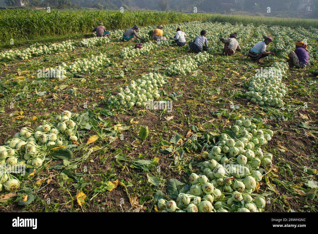 Dhaka bangladesh food lines hi-res stock photography and images - Alamy