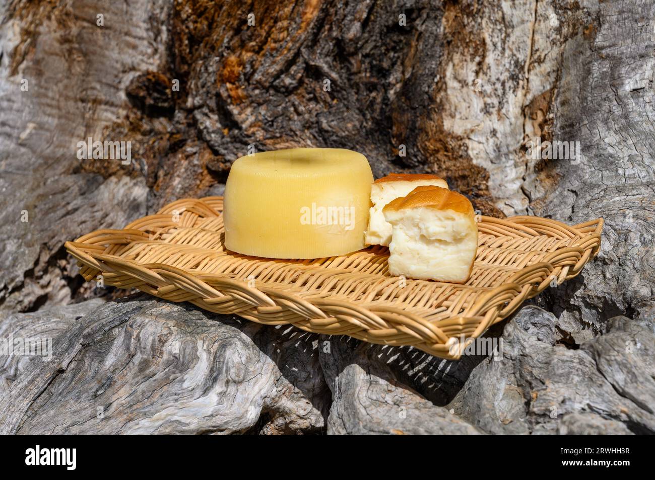 Different Cantabrian cheeses made from cow, goat and sheep melk in ...