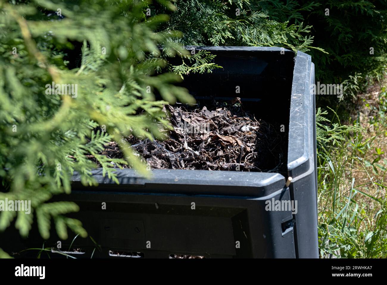 Image of compost bin in the garden Stock Photo - Alamy
