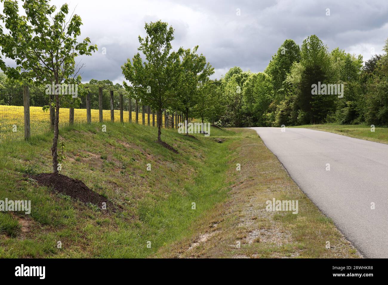 Bucolic Country Road in America Stock Photo - Alamy