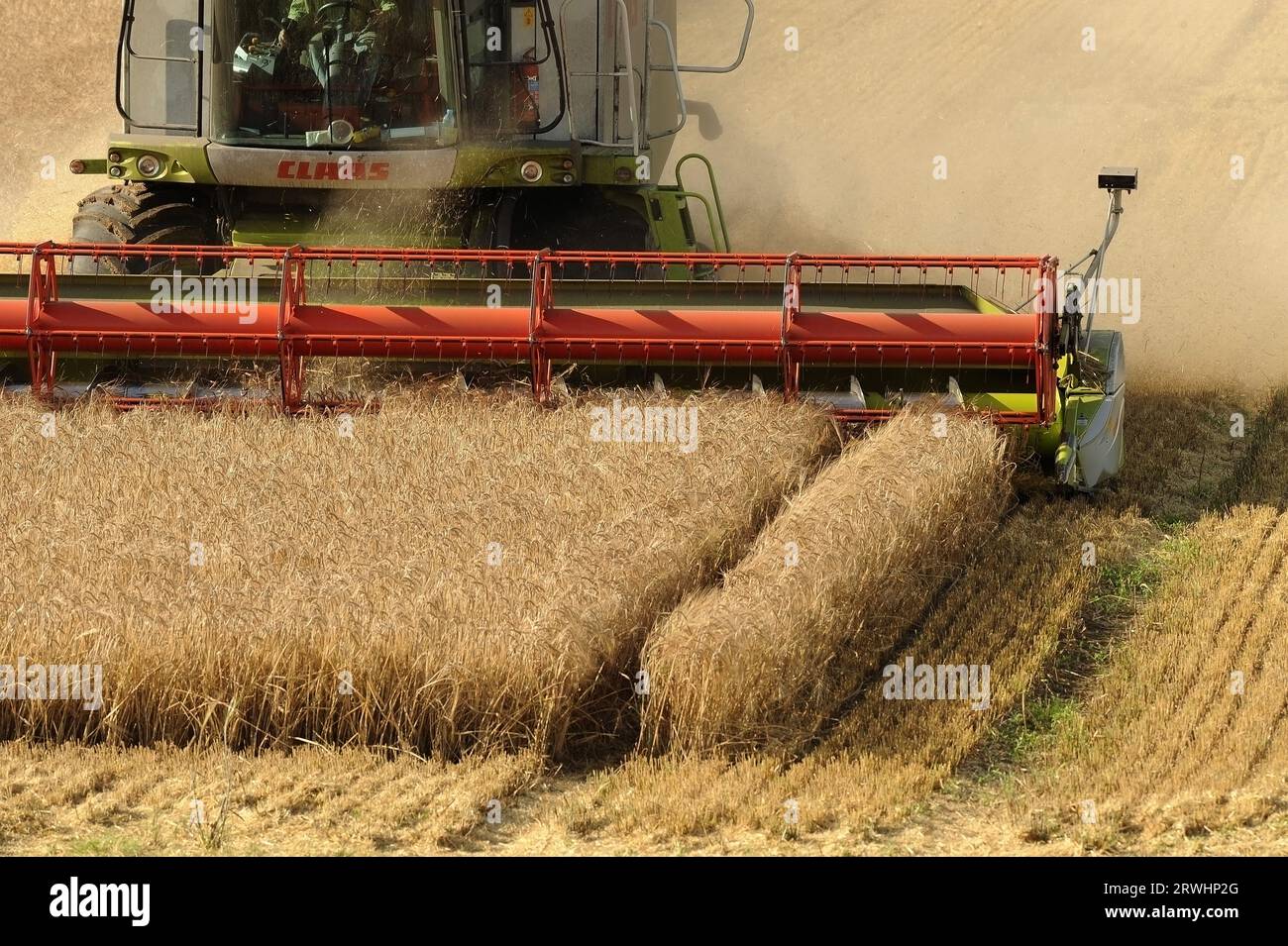 Harvest time combine harvester harvesting hi-res stock photography and images - Alamy