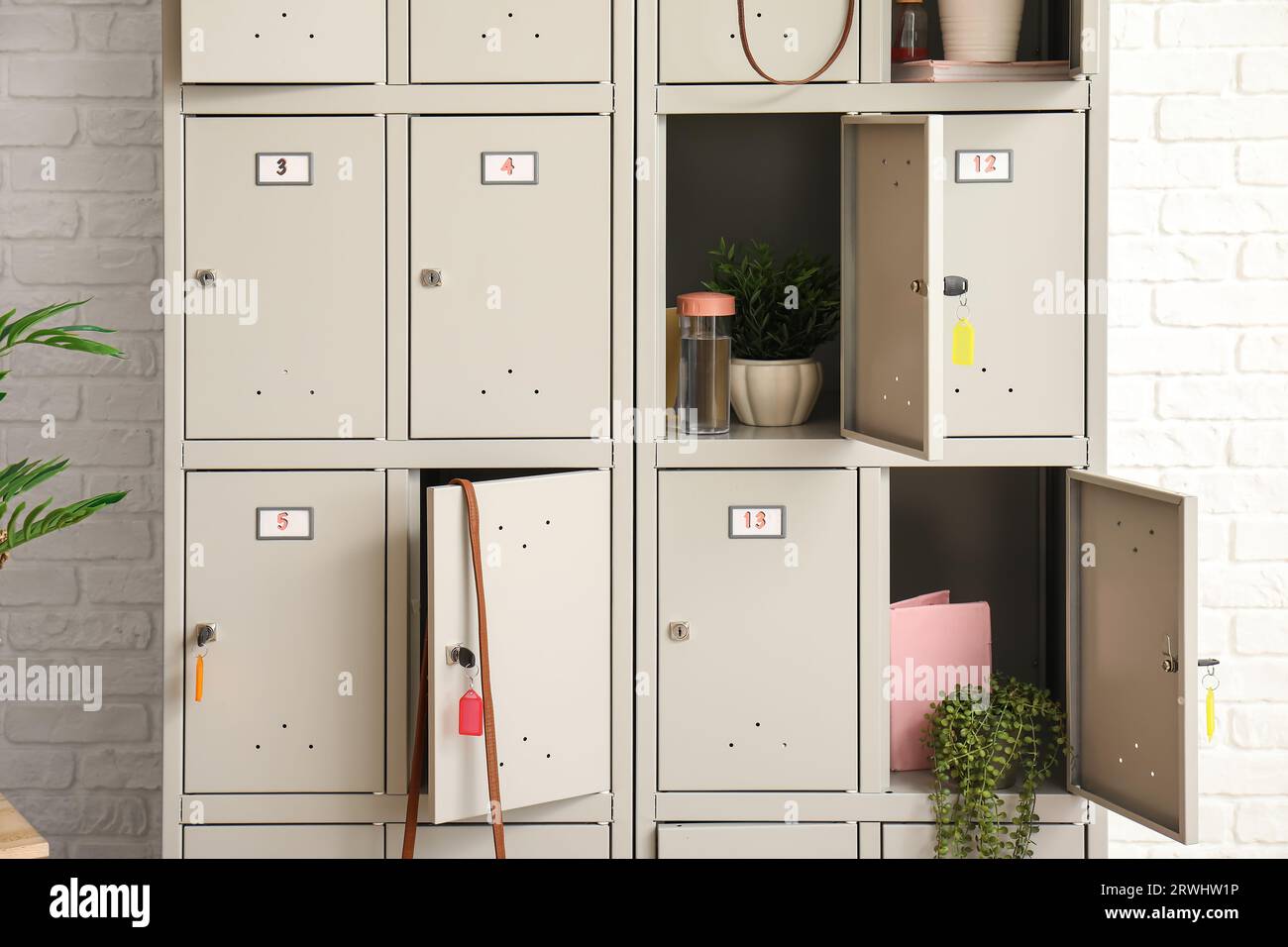 Modern locker with plants near white brick wall Stock Photo - Alamy
