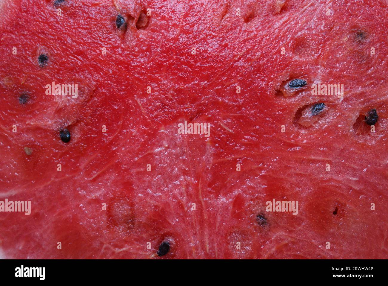 Juicy watermelon pulp seeds hi-res stock photography and images - Alamy