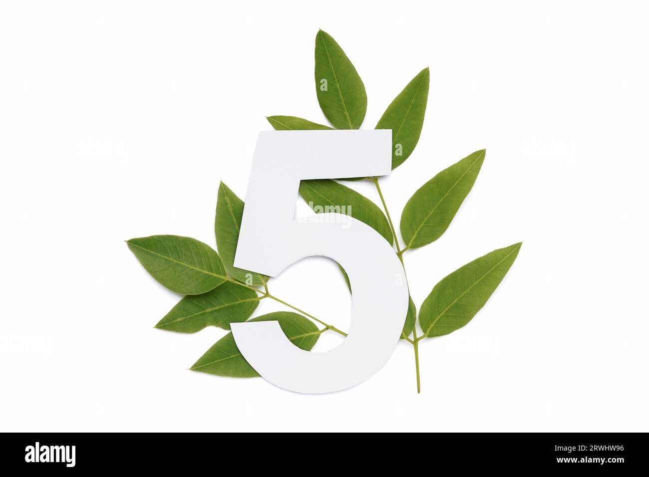 Green leaves with paper number five on white background Stock Photo - Alamy
