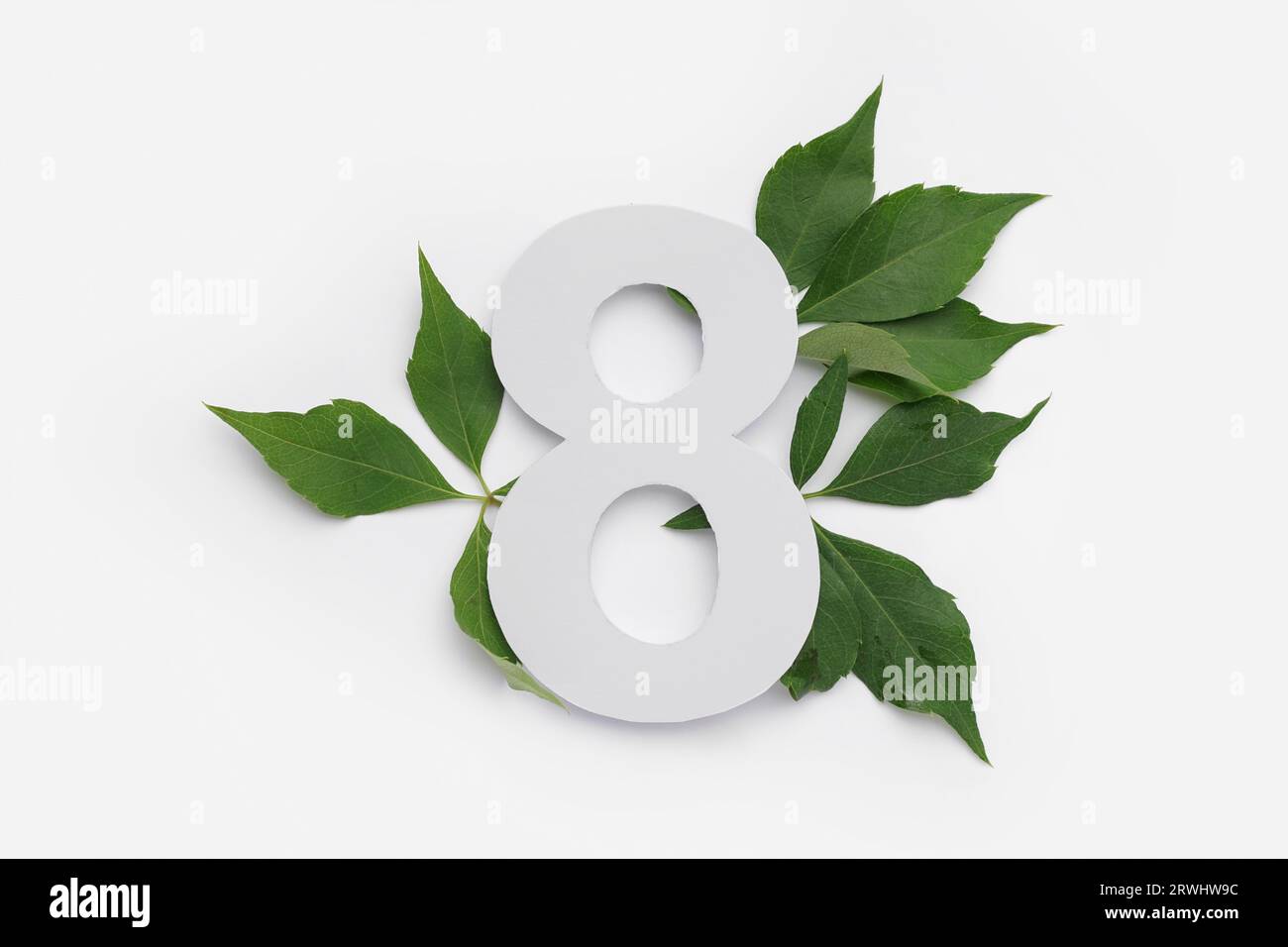 Green leaves with paper number eight on white background Stock Photo ...