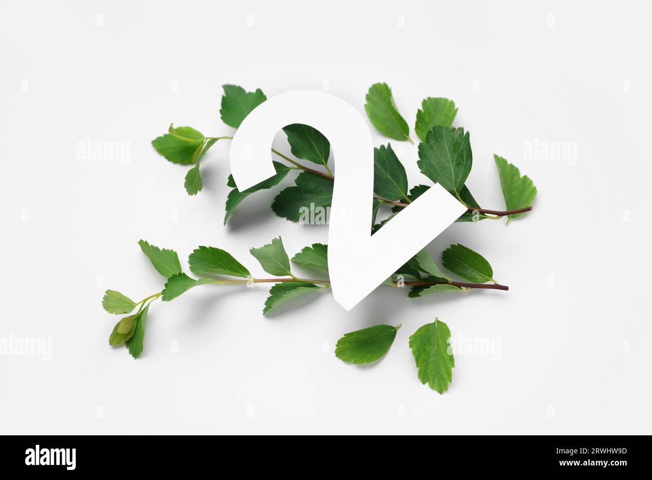 Green leaves with paper number two on white background Stock Photo - Alamy