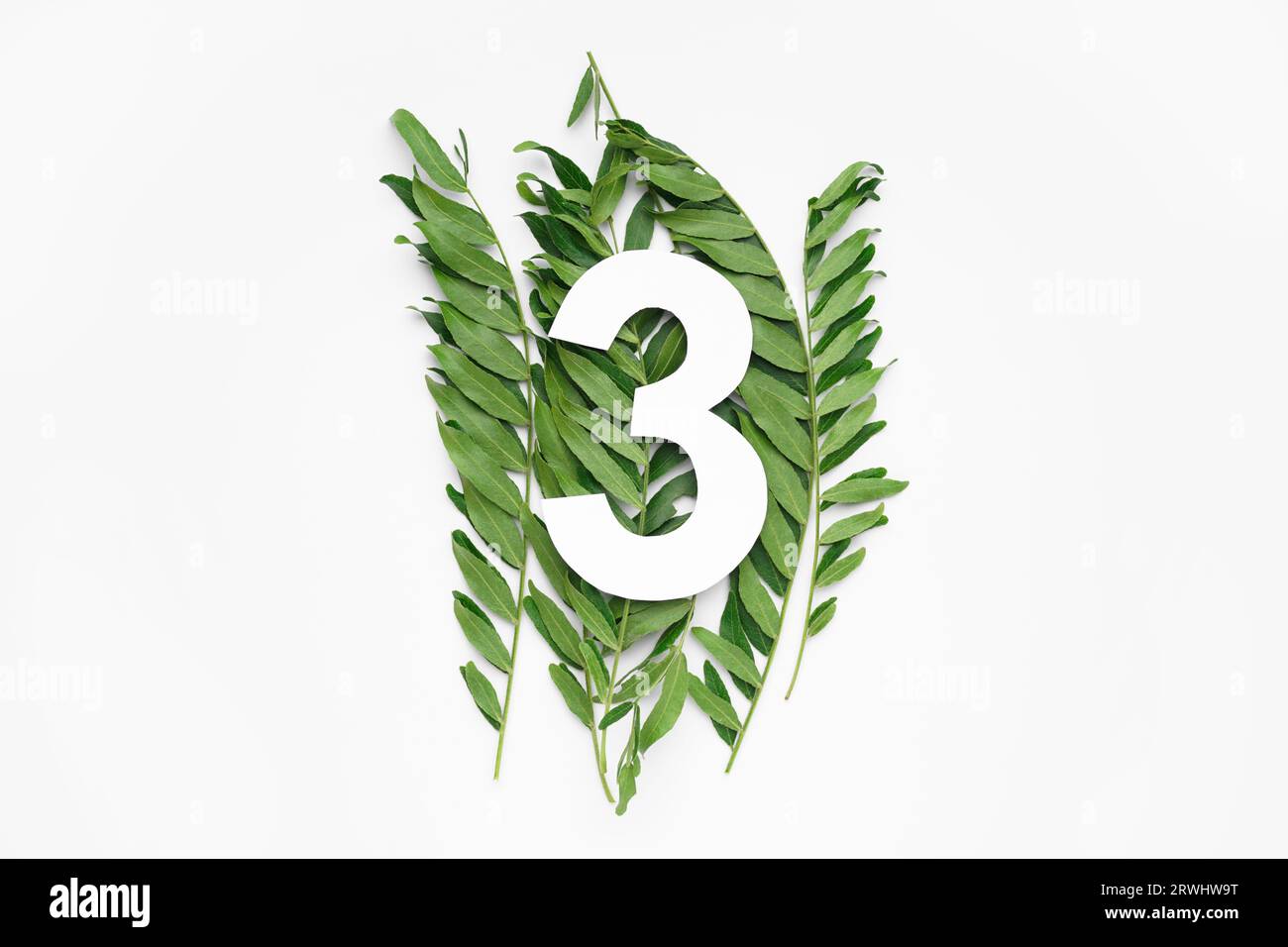 Green leaves paper number hi-res stock photography and images - Alamy