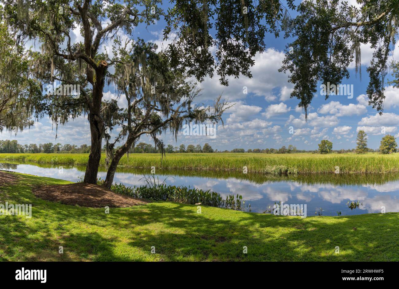 Landscape view of tidal marshlands and live oaks covered in Spanish ...