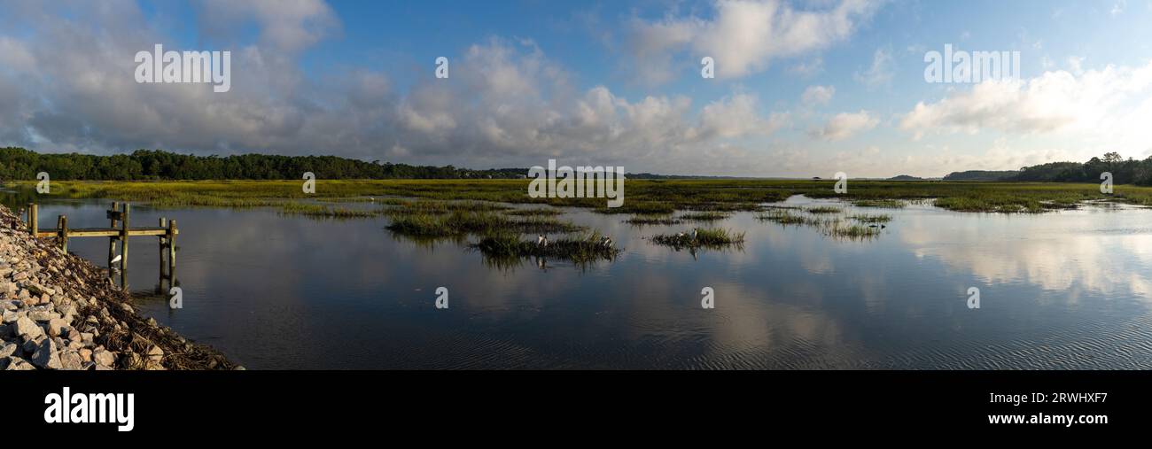 A panorama landscape of tidal beds and marshlands in Pawleys Island in ...