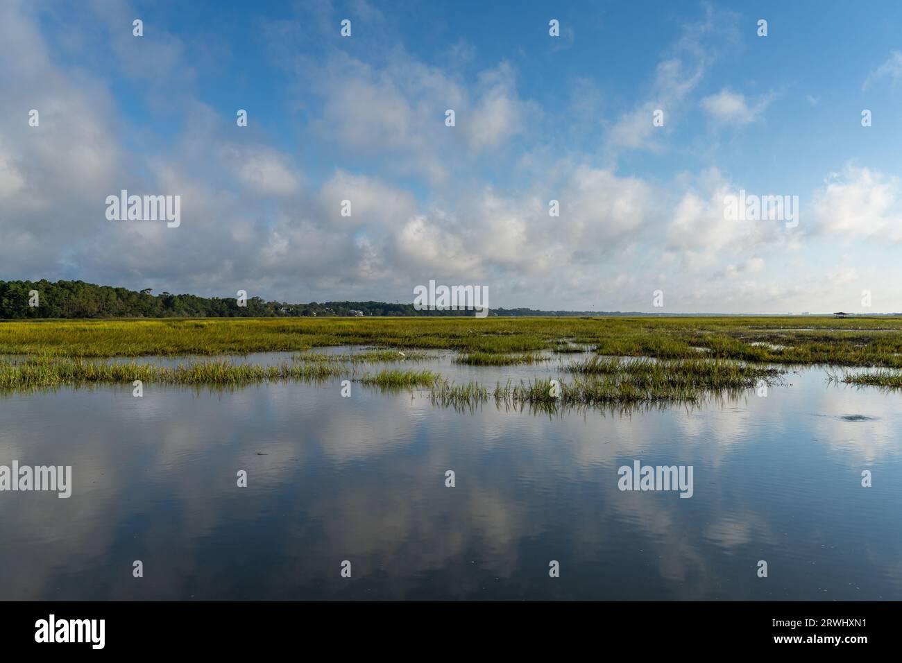 landscape view of tidal beds and marshlands in Pawleys Island in South ...