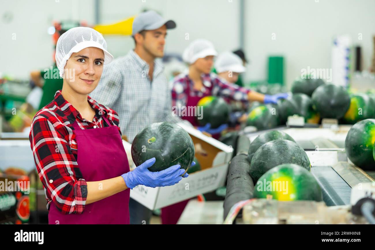 Portrait of positive woman fruit factory worker with watermelon Stock ...