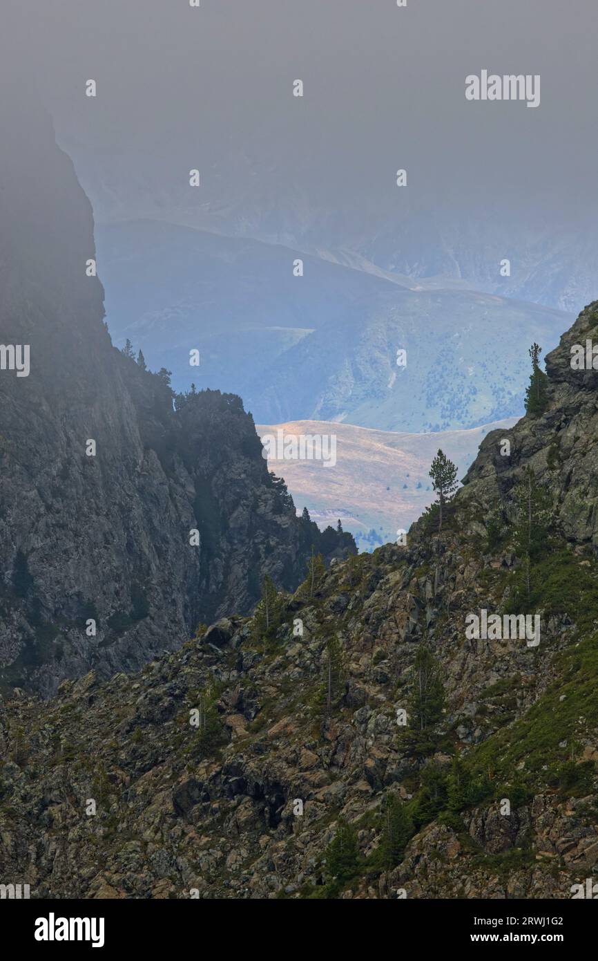 Clouds rise from the valley and surround the slopes and trees Stock ...