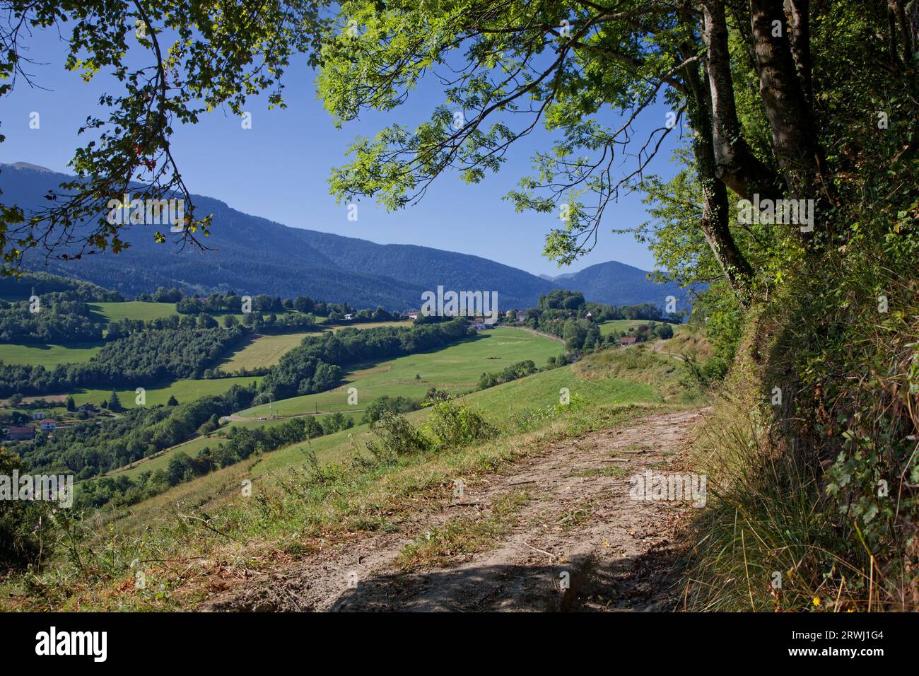 Path in a countryside landscape of hills and forests Stock Photo - Alamy