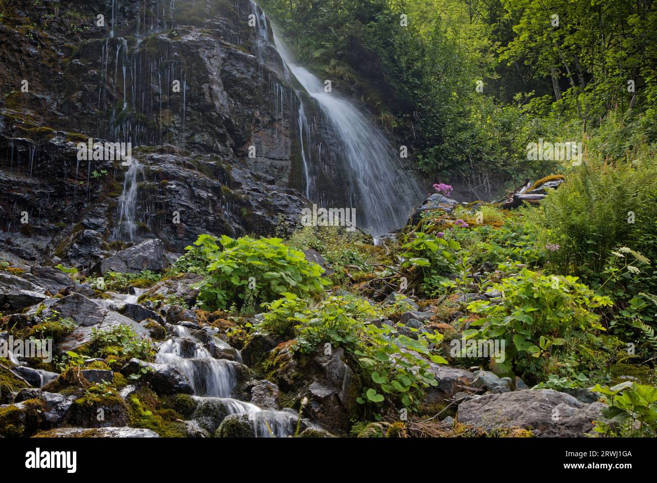 Waterfall and rocks in the forest Stock Photo - Alamy