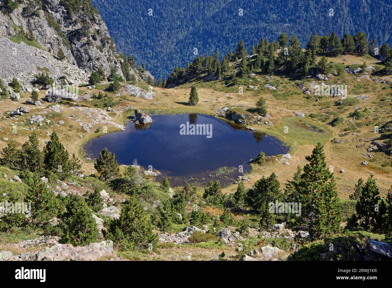 A small dark lake and forest landscape Stock Photo - Alamy