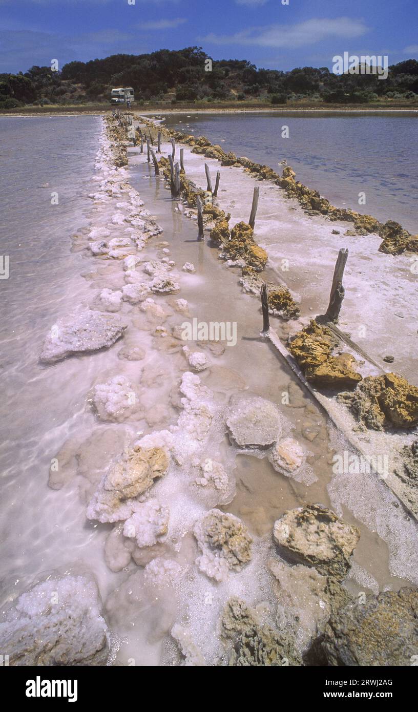 Salt encrusted rocks in the Coorong National park, South Australia ...