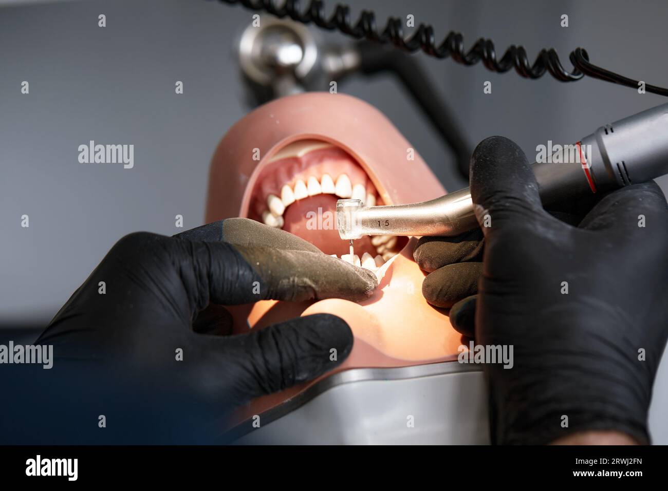 Male dentist learning treat hi-res stock photography and images - Alamy