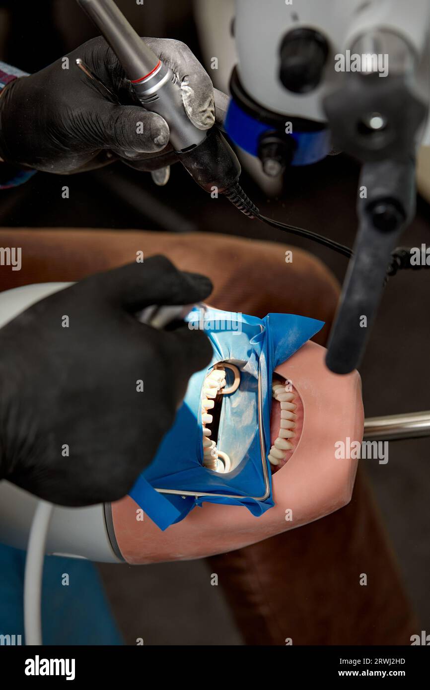 Top view of dentist hands who is learning to treat teeth on human head ...