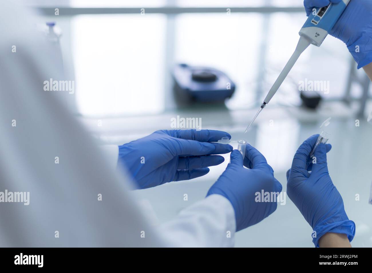 Research scientist using micro pipette for test analysis in modern ...