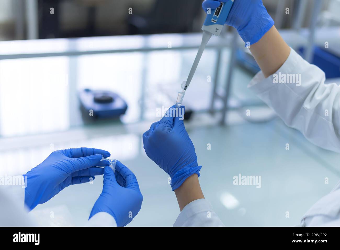 Research scientist using micro pipette for test analysis in modern ...