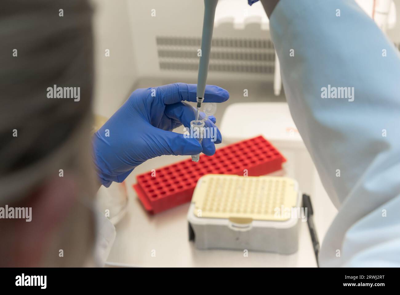 Research scientist using micro pipette for test analysis in modern ...