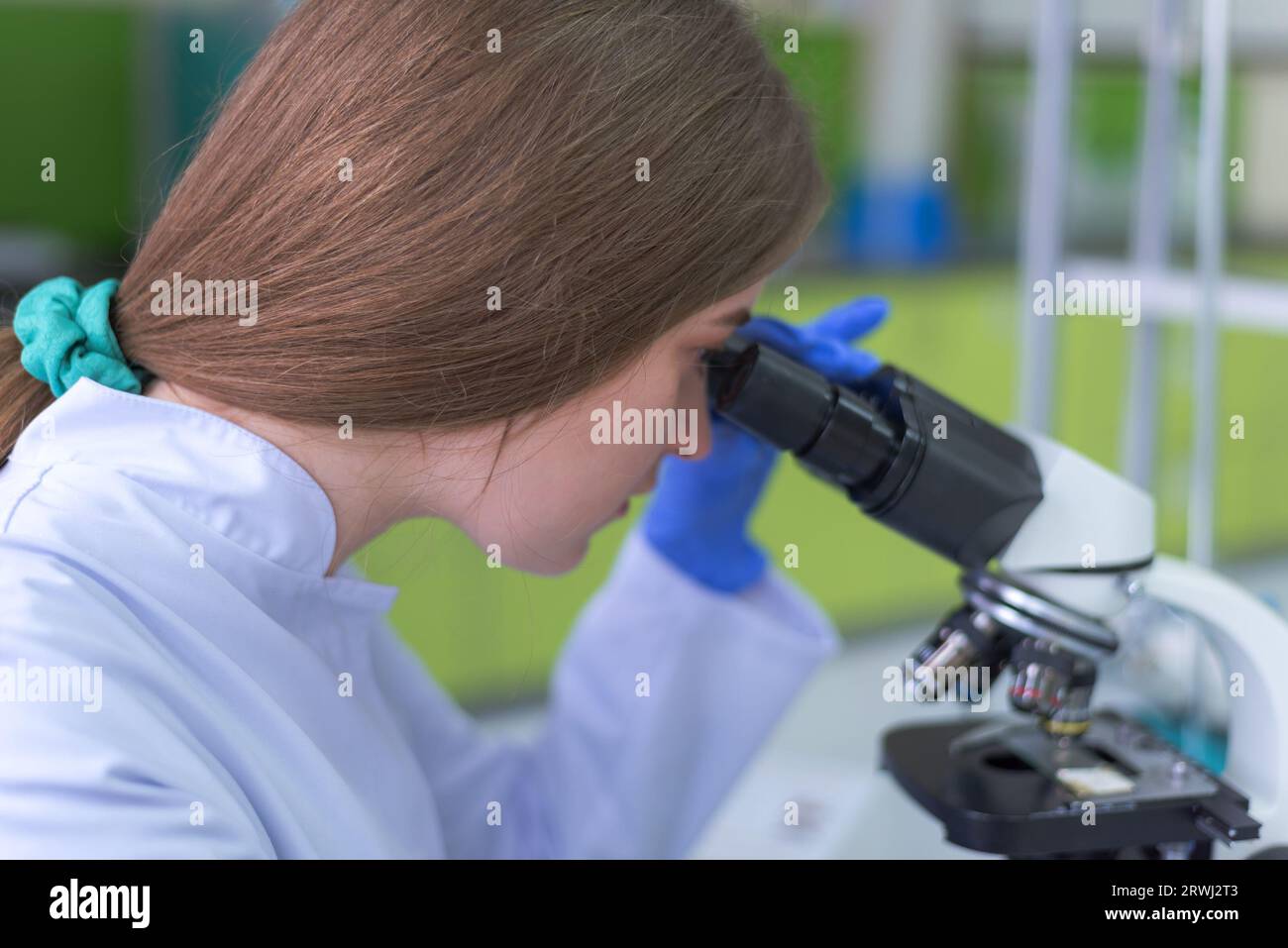 Research scientist using micro pipette for test analysis in modern ...