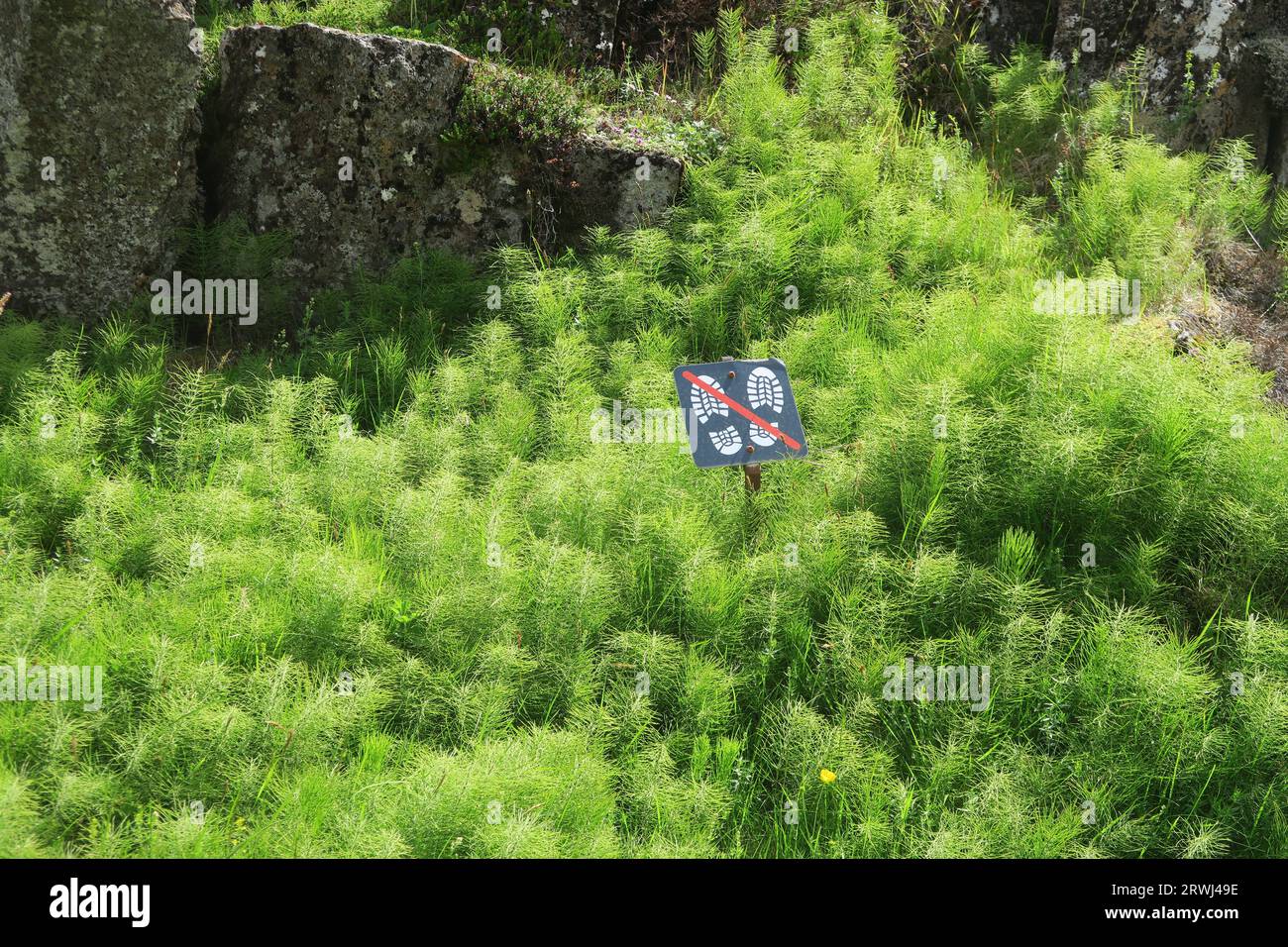 Protect our meadow sign hi-res stock photography and images - Alamy
