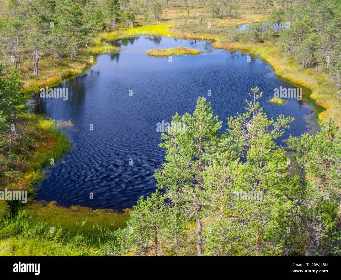 Laheema national park hi-res stock photography and images - Alamy
