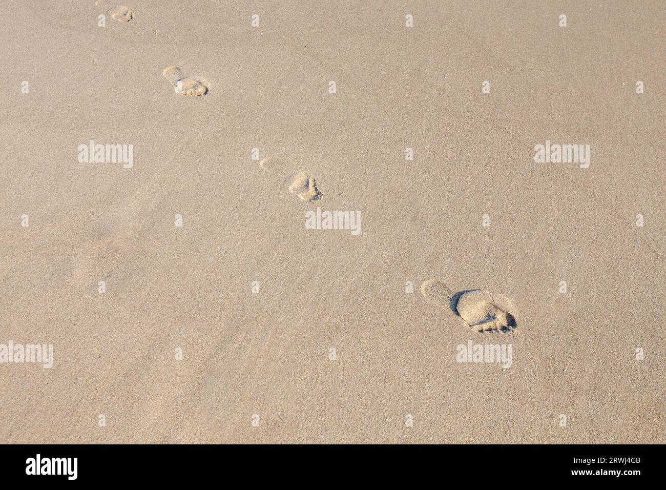 footsteps of a barefoot walking person at the beach in Usedom Stock ...