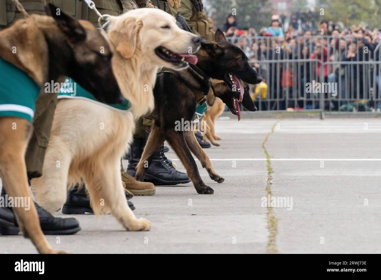 Santiago, Metropolitana, Chile. 19th Sep, 2023. Female police officers ...