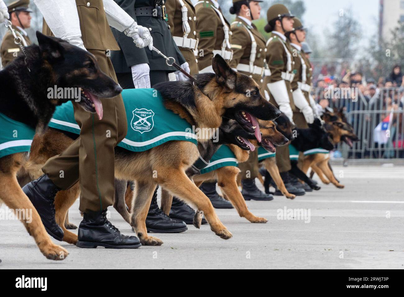Santiago, Metropolitana, Chile. 19th Sep, 2023. Female police officers ...