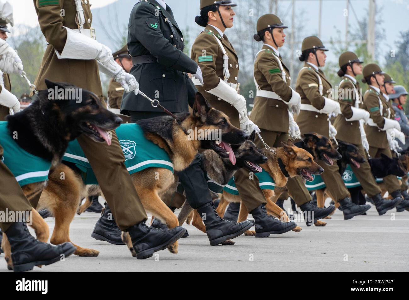 Santiago, Metropolitana, Chile. 19th Sep, 2023. Female police officers ...