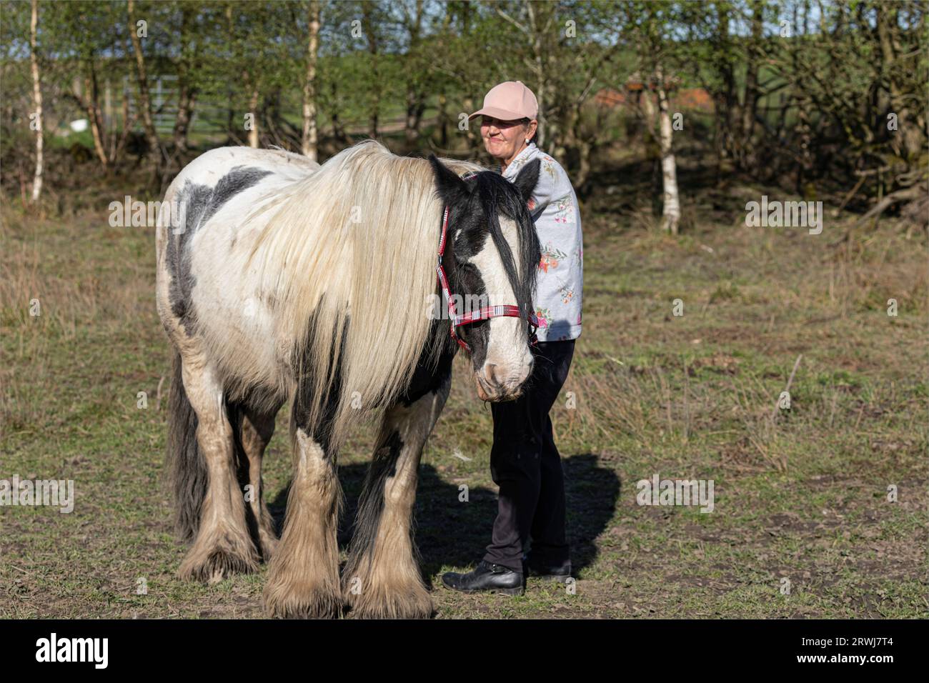 Falkirk, Scotland, UK - May 11th 2023 - Older lady with a black and ...