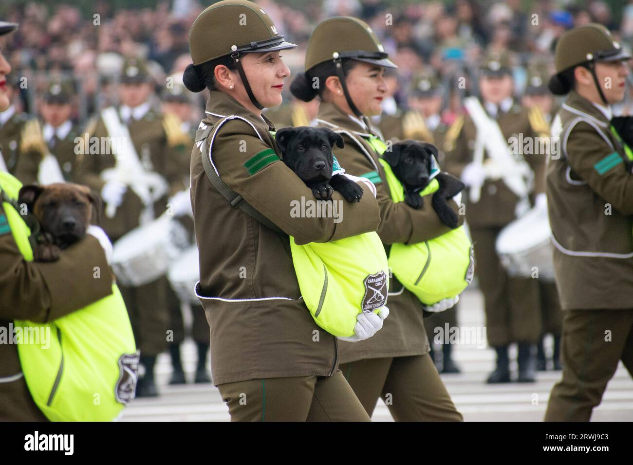 Santiago, Chile. 19th Sep, 2023. Female Chilean police officers carry ...