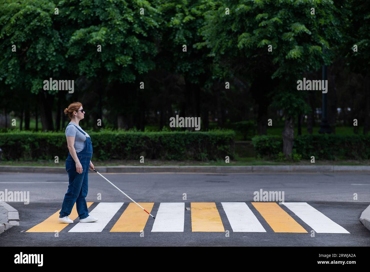 Blind pregnant woman crosses the road at a crosswalk with a cane Stock ...