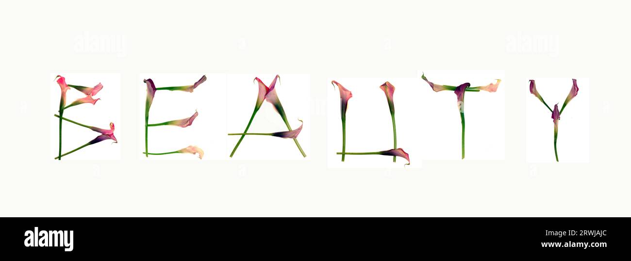 Symbols of rebirth Cut Out Stock Images & Pictures - Alamy