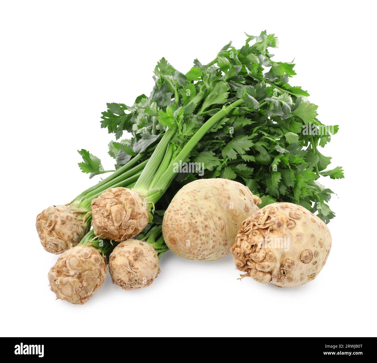 Root celery stalks green Cut Out Stock Images & Pictures - Alamy